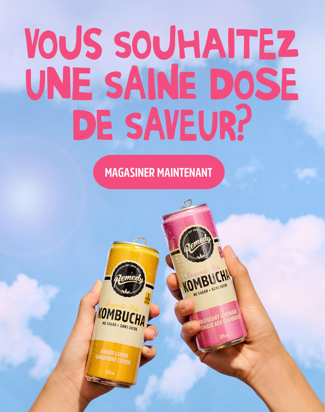 Remedy Drinks International – Remedy Drinks | No Sugar and Live Cultured